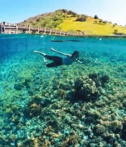 Ada Lumba-Lumba di Pulau Sabolo Labuan Bajo? Cek Juga Keindahannya yang ...