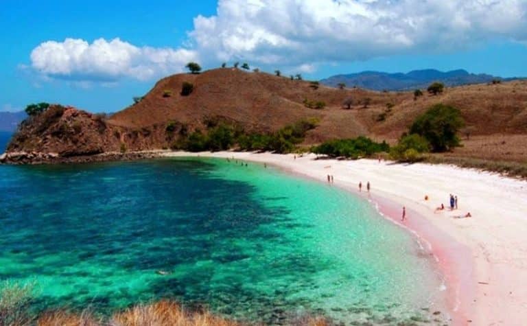 Ada Lumba-Lumba di Pulau Sabolo Labuan Bajo? Cek Juga Keindahannya yang ...